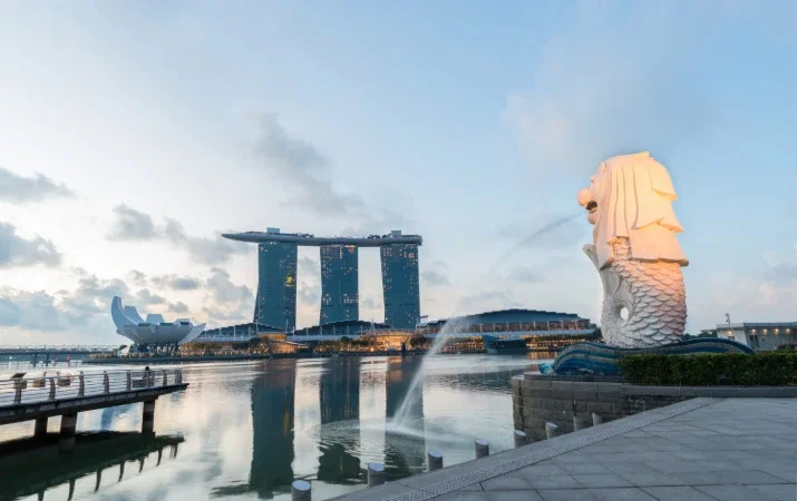 Understanding How Singapore Tax Treaties Work & Its Process